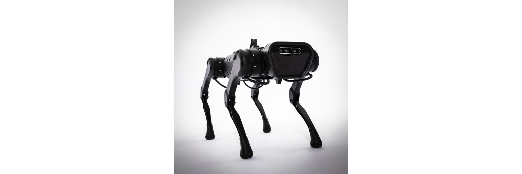 QUADRUPED A1 Gait Planning | MYBOTSHOP