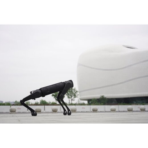 Unitree B1 Quadruped | MYBOTSHOP.DE