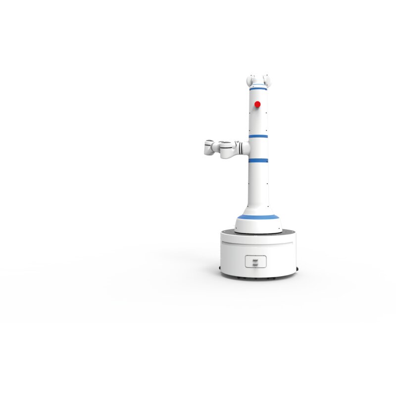 Realman Combound Robot Mobile manipulator RM65 single arm | MYBOTSHOP ...