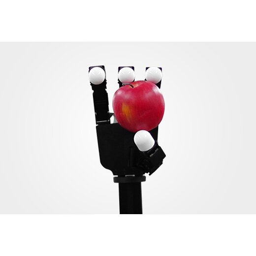 Allegro Hand V4 right | MYBOTSHOP.DE, € 23.250,00